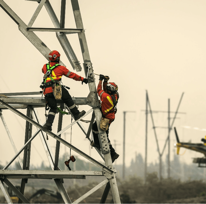 Asset Management - QUES